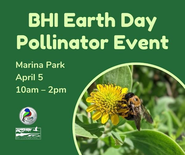 Bee City USA - Village of Bald Head Island